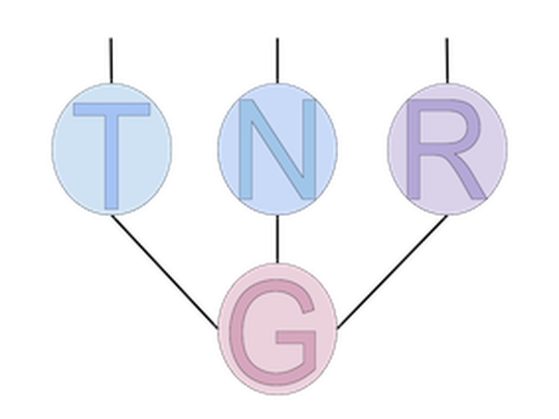 Tensor Network Reading Group